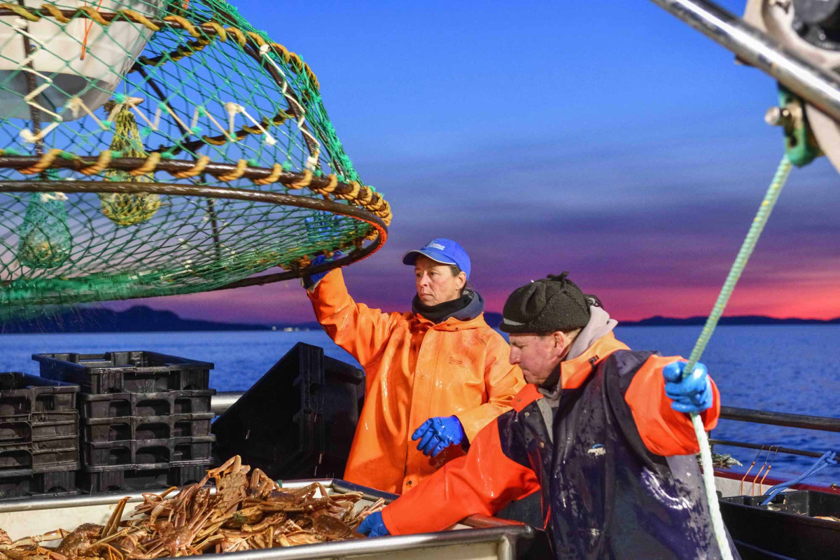 New Fisherman - BAPAP